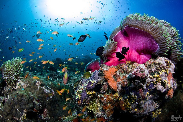 OddFuttos, When The Photos Speak: Art Photography: Incredible And ...