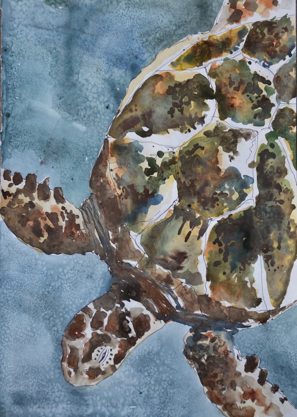 Jennifer Seeley Art: The Famous Turtle