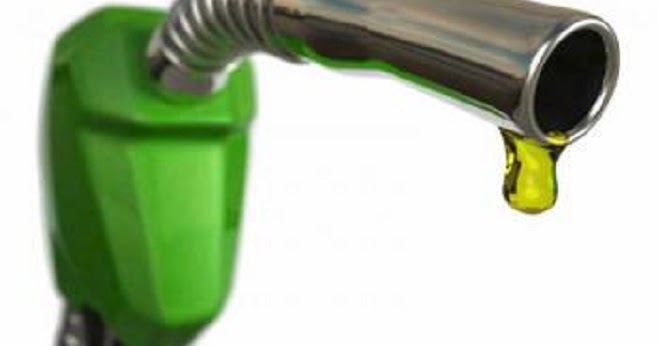 NEWS MESSINIA - ΜΕΣΣΗΝΙΑΚΑ ΝΕΑ και ΕΙΔΗΣΕΙΣ: ΔΕΙΤΕ ΤΙΜΕΣ - ΣΤΑ ΥΨΗ ΤΑ ...