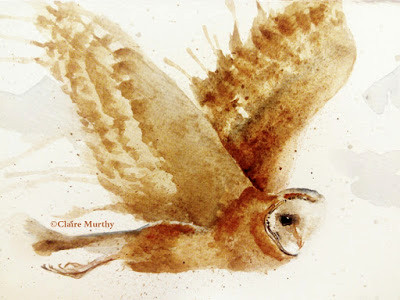 British Wildlife Watercolours