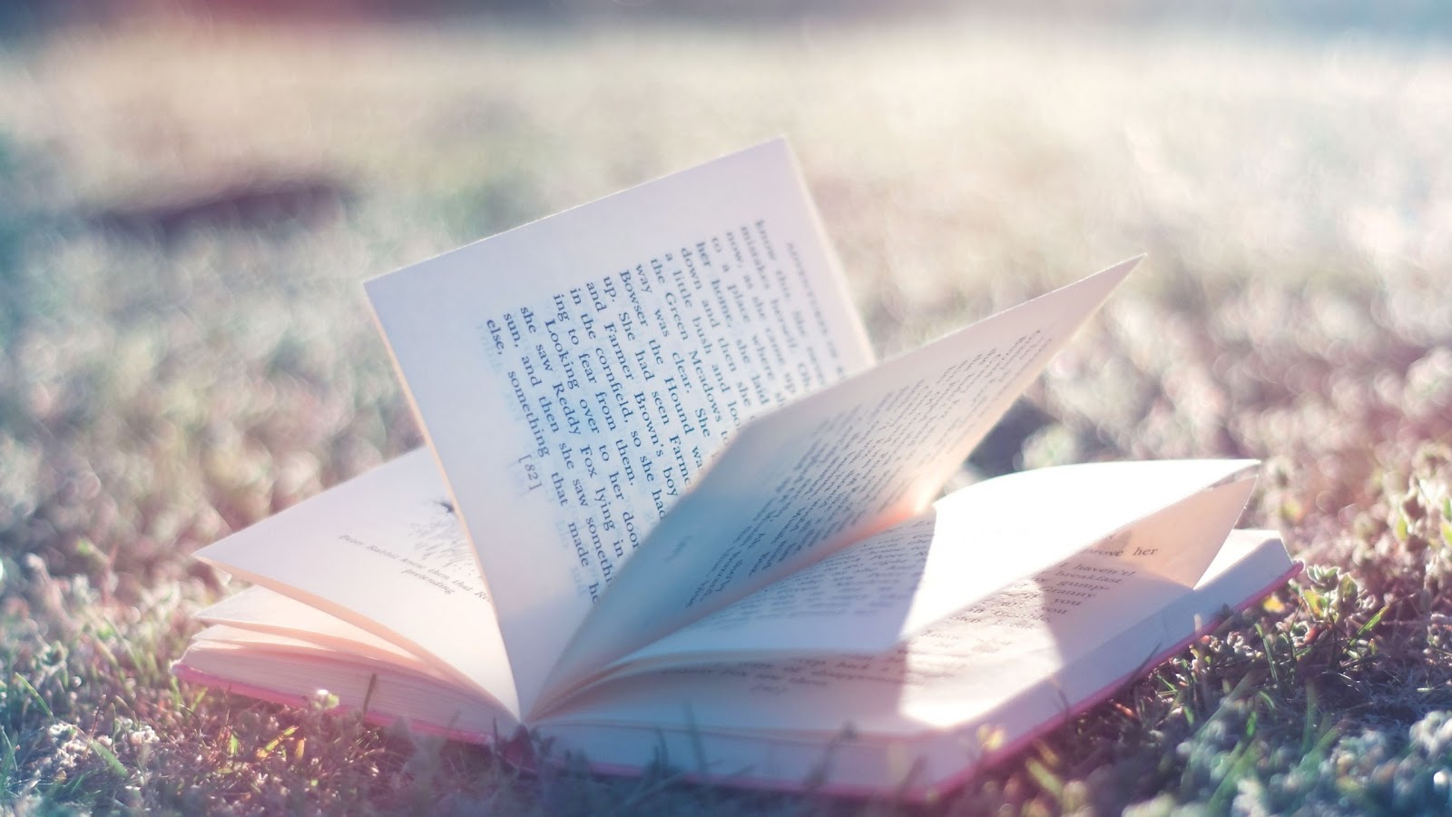 Wallpapers books free