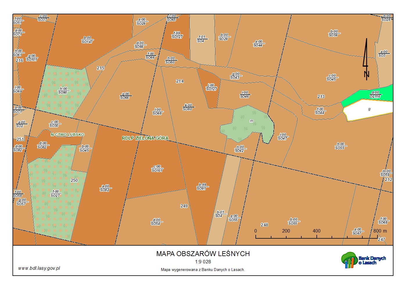 Na-Leśnik: Bank danych o lasach - potężne źródło informacji
