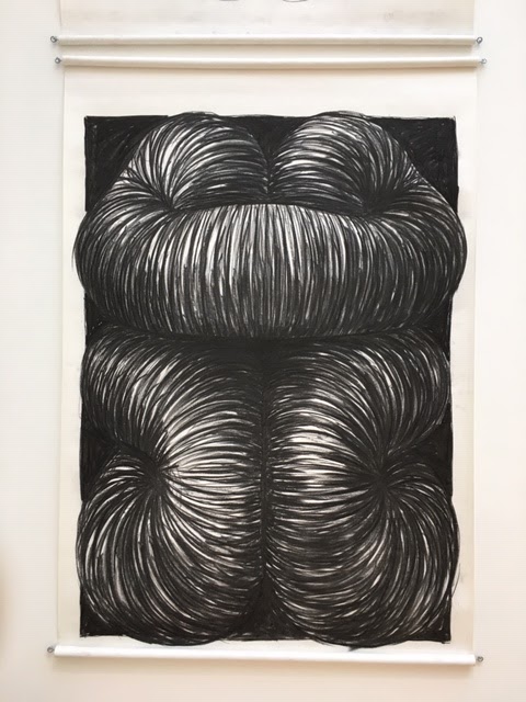 Drawing : Hanging large drawings: Peter Randall-Page Leeds City Art Gallery