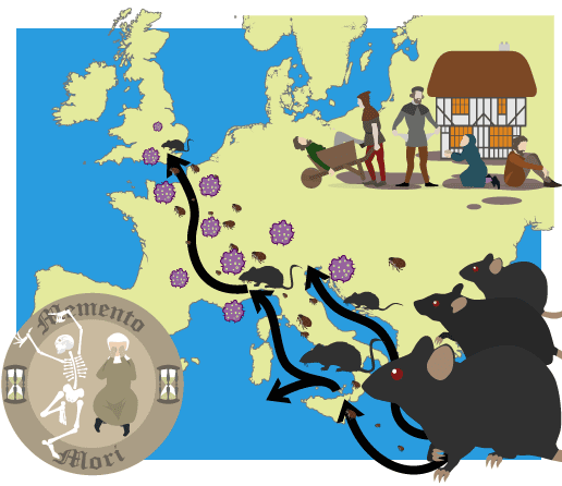 THE PLAGUE / THE BLACK DEATH