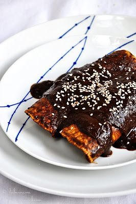 CoLoRes, SaBoRes, oLoRes...CoLoRs, TaSTeS, SmeLLS: chicken enmoladas ...