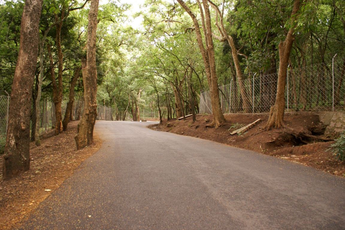 Basil Abraham...: Marayur Munnar