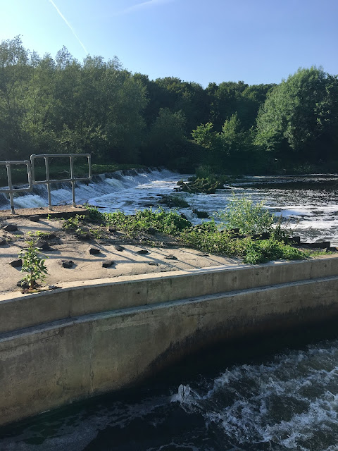 Just me, Jaydee xo: Sprotbrough Falls Day Trip | 2017