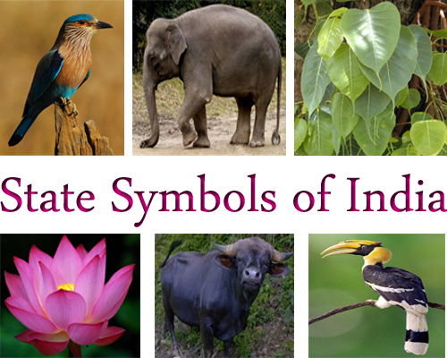 JJ Creations State Symbols Of India jj-creations-state-symbols-of-india