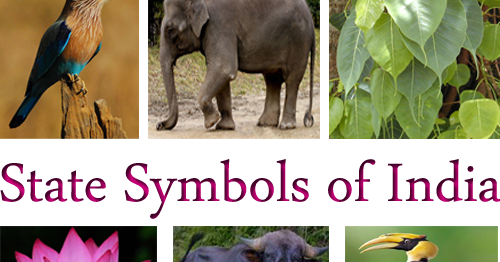 JJ Creations: State Symbols of India