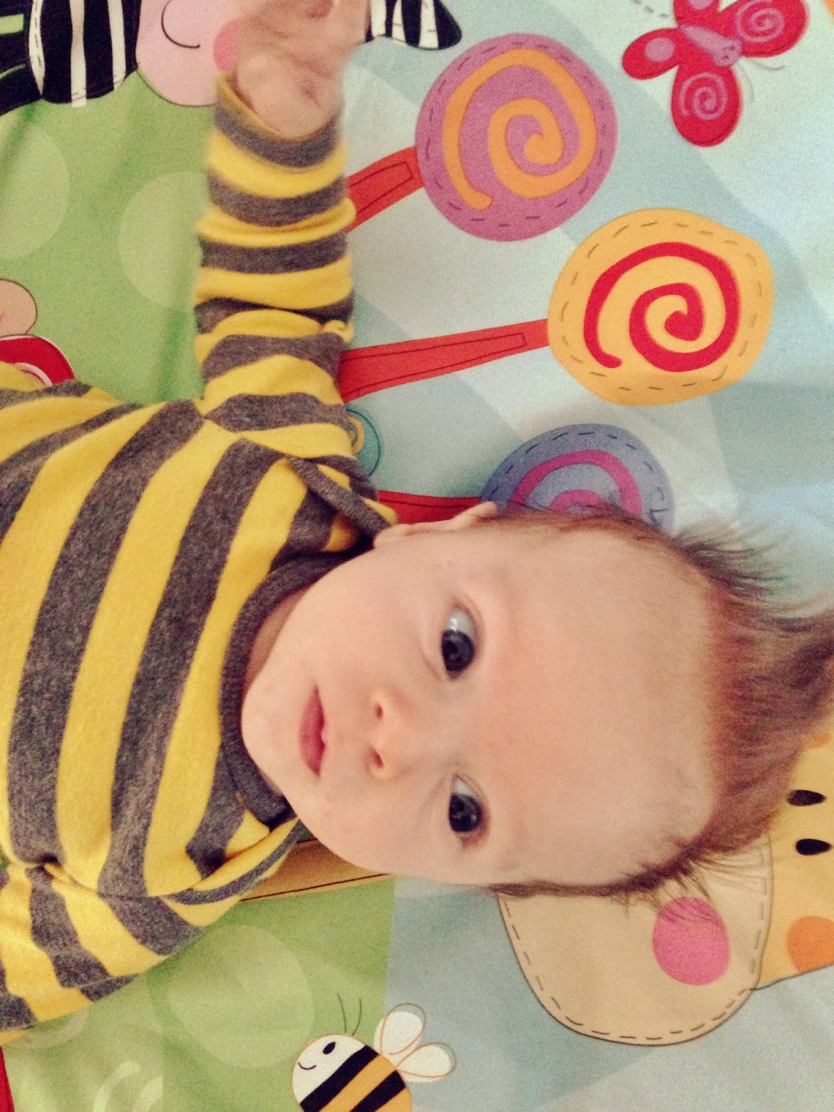 the martin house: 2 months with Baby Jax