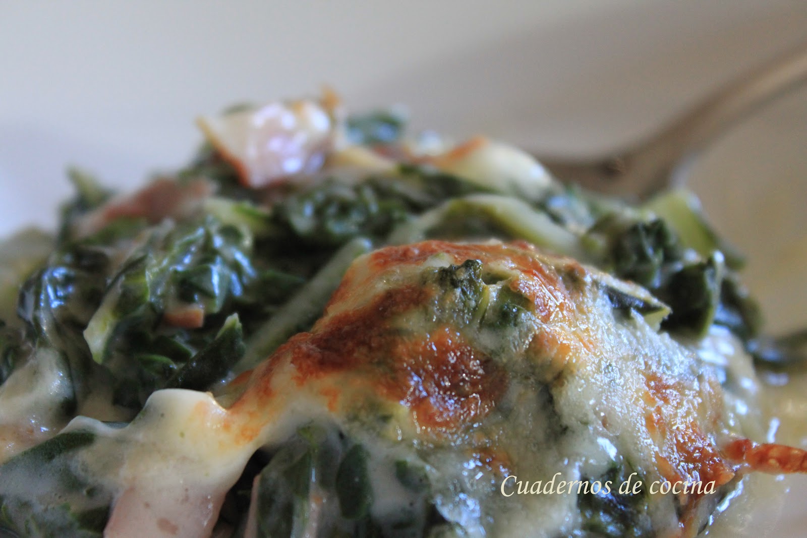 Cuadernos de cocina: Acelgas gratinadas