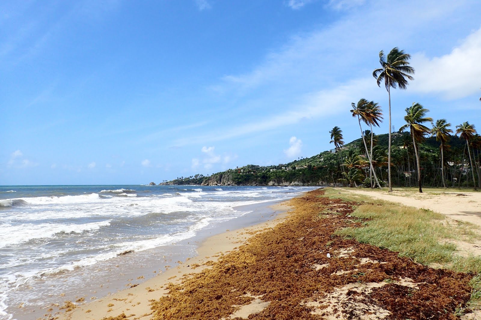 Things we did today...: Beach Hopping On Puerto Rico's East Coast