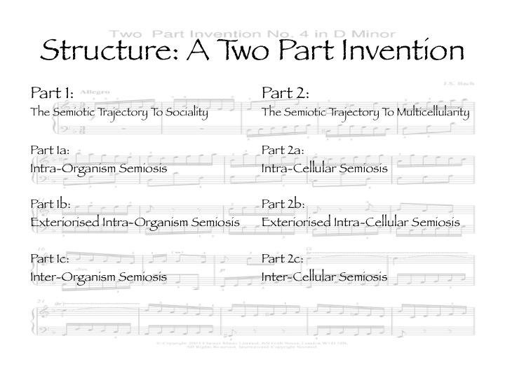 Towards A Linguistic Science Of Sciences: Slide 12: Structure: A Two ...