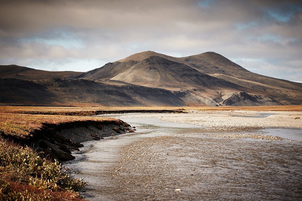 Ultima Thule: Ushakovskoye, Wrangel Island, on far-eastern Siberia
