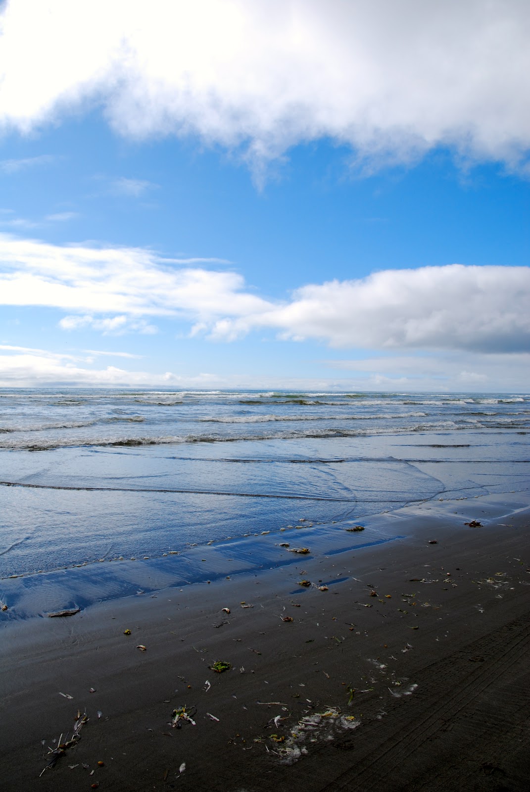 Wanderlust Traveler: Ocean Shores, Washington