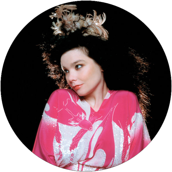 About Björk - About Singer | All About Musician