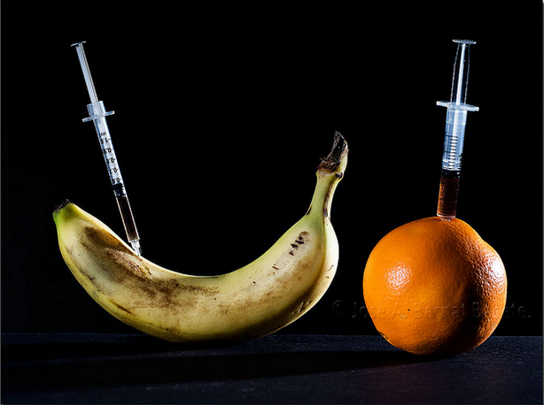 Alimentación transgénica: julio 2015