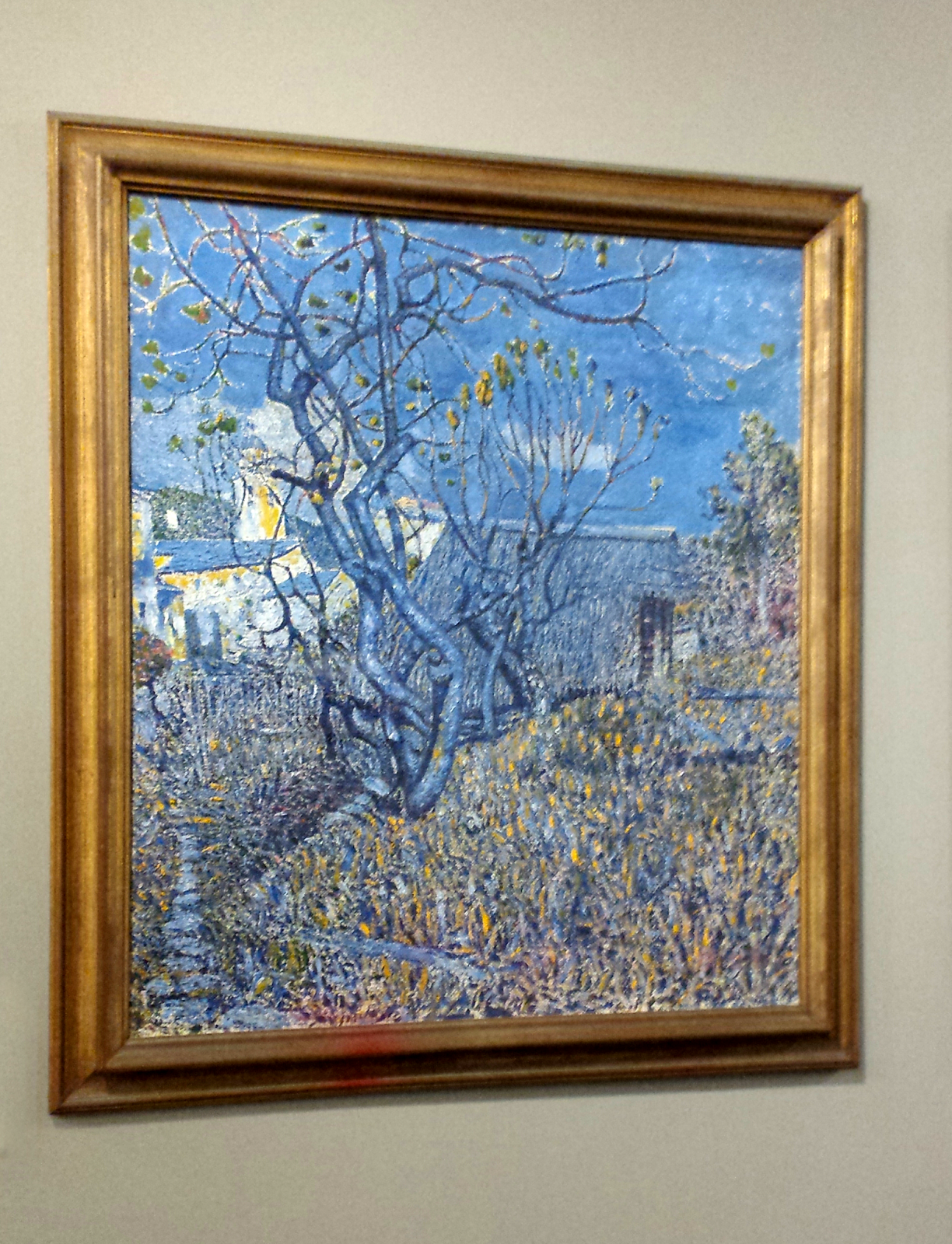 Il blog di Daniela Fava: Rubaldo Merello