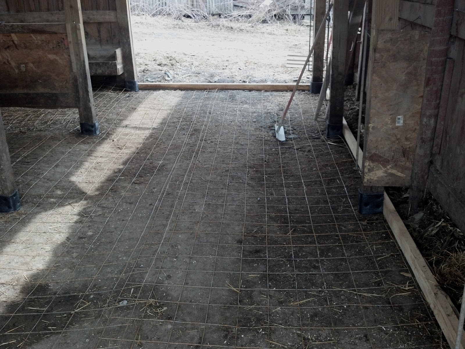 Conser Run Report: Barn wall repair, concreting pig pens, legacy update!