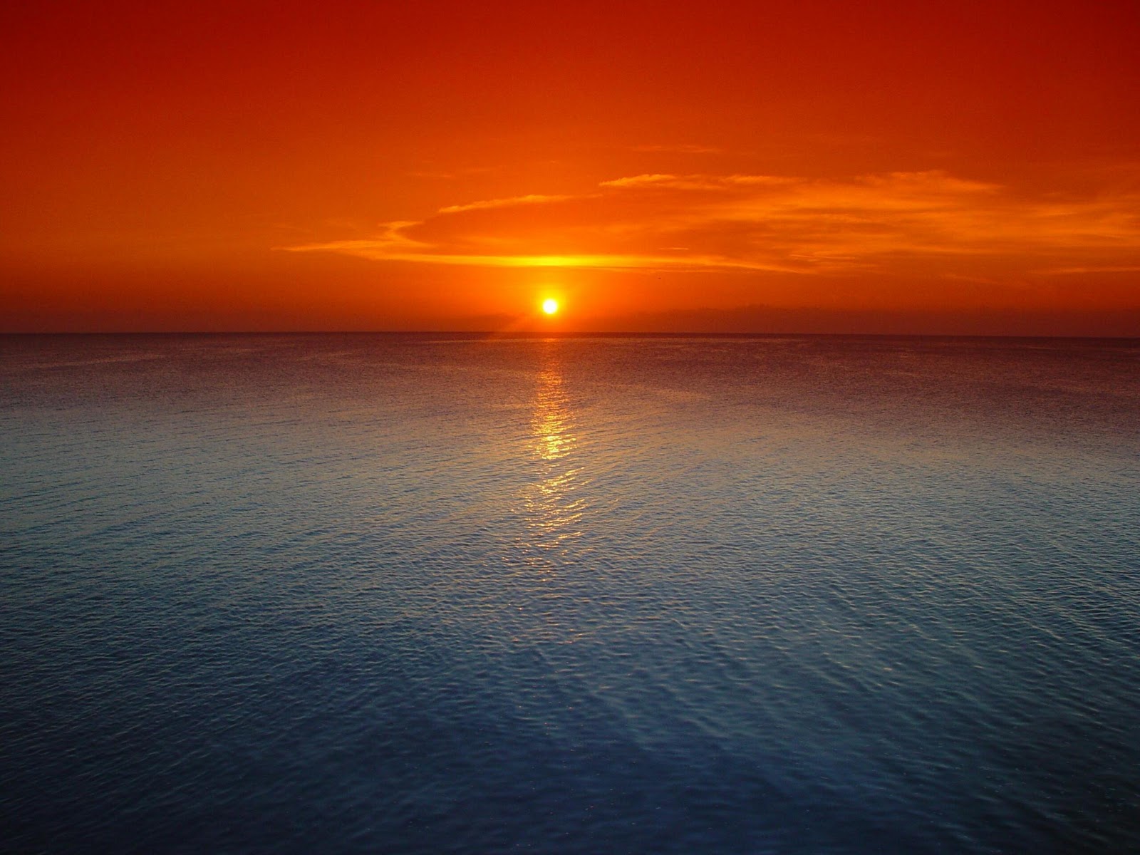 DIVINIA NIGHTFIRE Poetry In Acoustic E Motion SUBMERGE divinia-nightfire-poetry-in-acoustic-e-motion-submerge