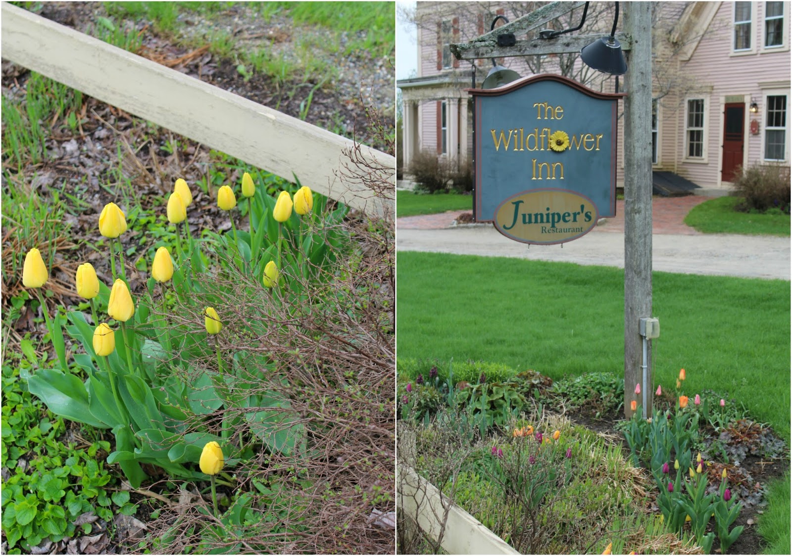 Wildflower Inn (Lyndonville, Vermont) | Caravan Sonnet