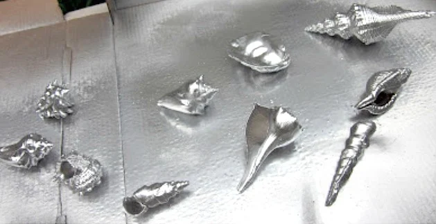 Crafting with Shiny Sea Shells
