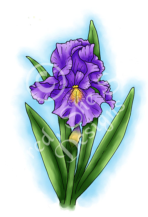 Fred, She Said Designs .... The Store: Bearded Iris
