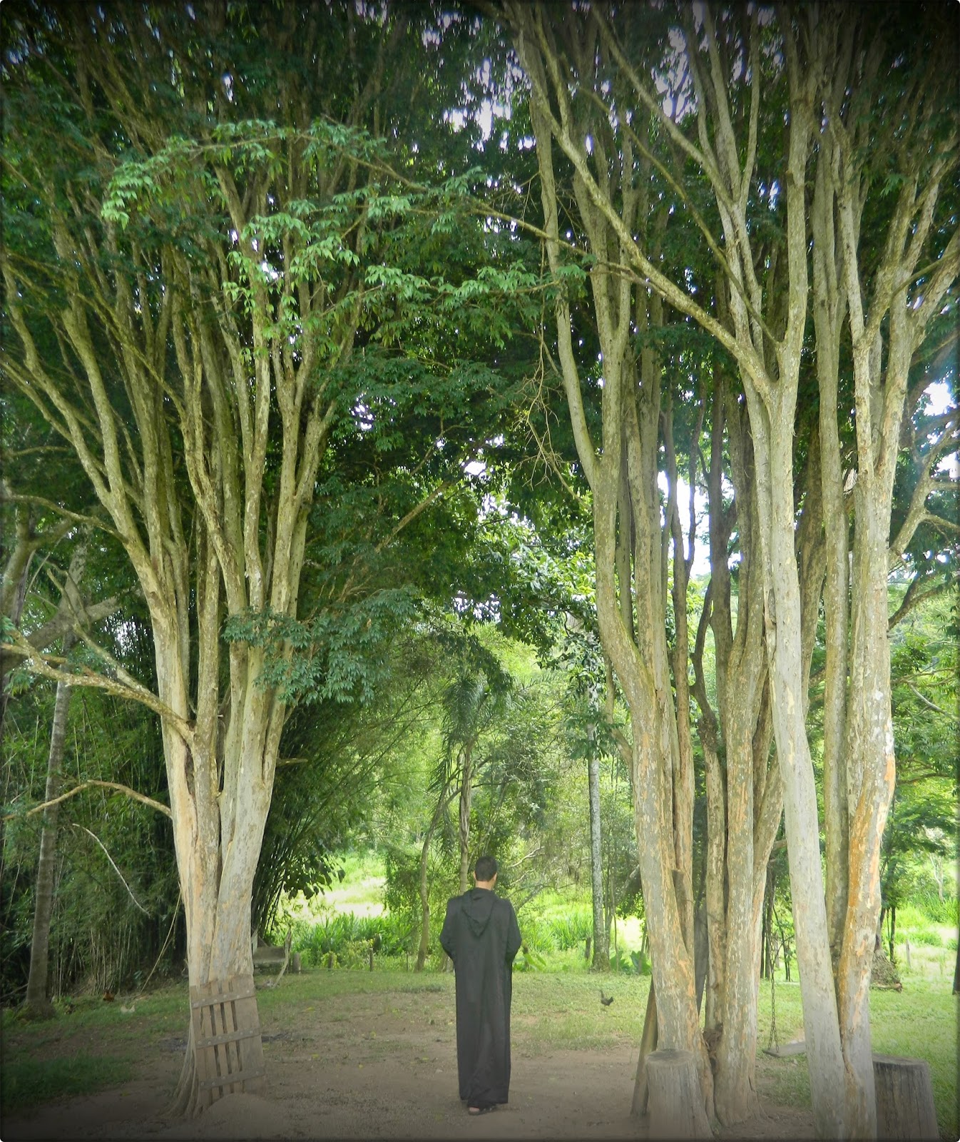Capuchinho Eremita: O que é um Anacoreta?