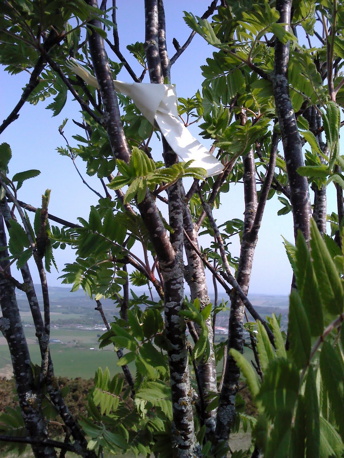 The Road North: (32) Huntly