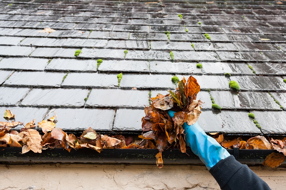 What are the Typical Problems that Affect Gutters? ~ Aussie Info Zone