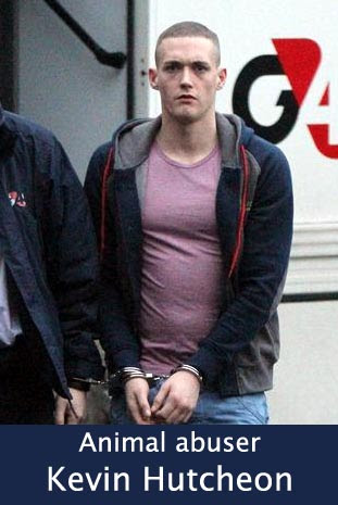 Four legged friends (and enemies): United Kingdom: Kevin Hutcheon, 27 ...