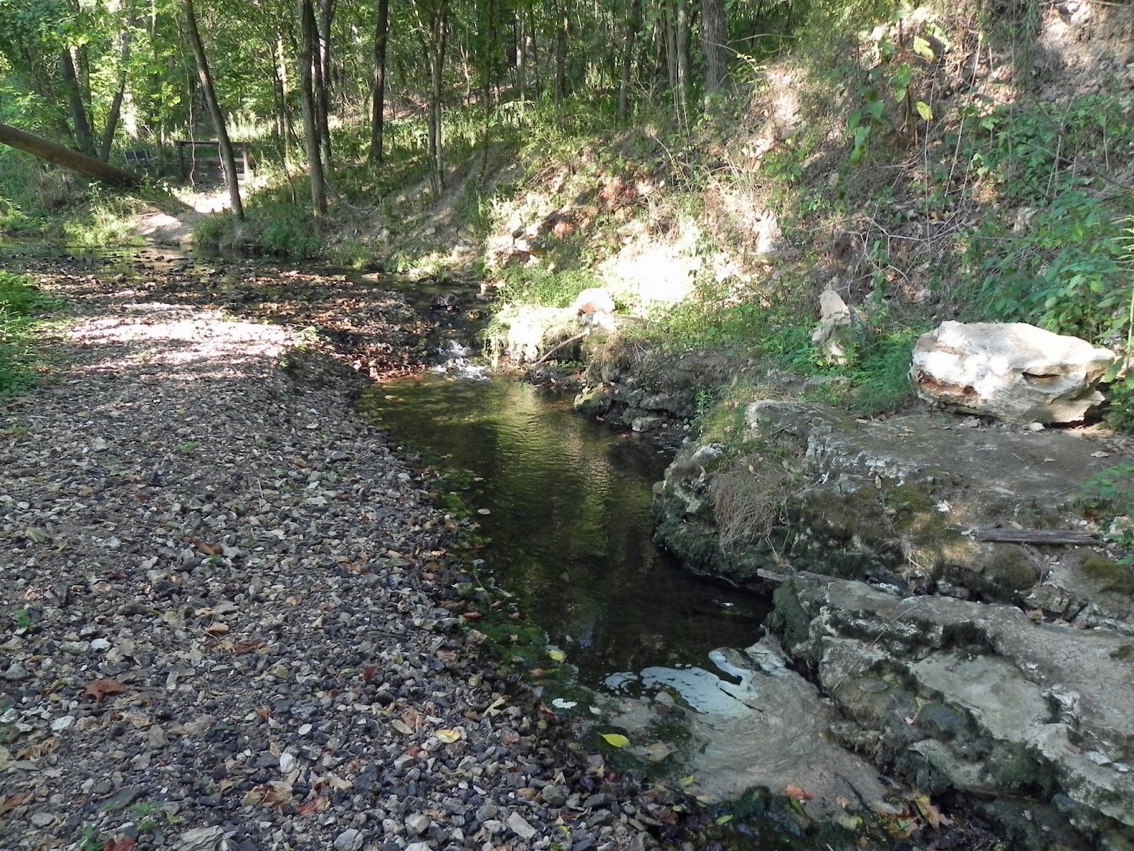 Dogwood Ridge Trail, Forest 44 Conservation Area
