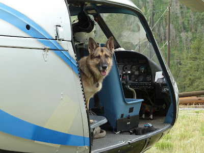 Hundewanderer.com: Dog-Of-All-Trades