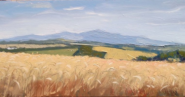 Thomas Haskett Illustration: Barley Field