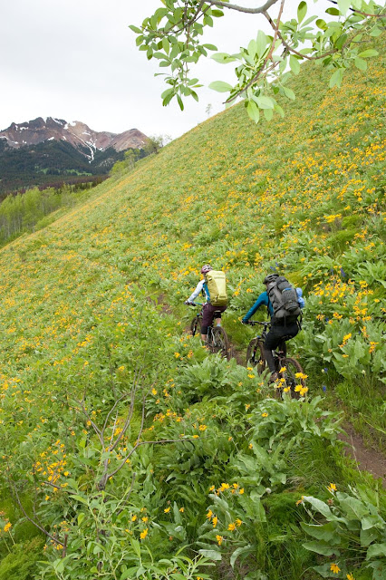 Pat Mulrooney Photography: Canadianism!
