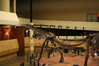 Amazing ! Dinosaur Fossils in Thailand