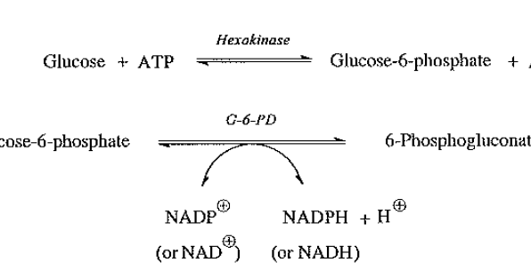 Biochemistry Class notes: BLOOD GLUCOSE MEASUREMENT