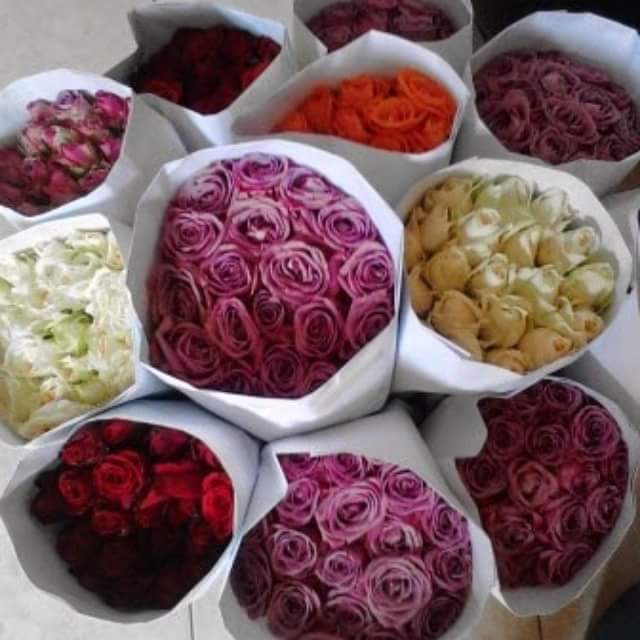 TOKO BUNGA MAWAR IMPORT DI JAKARTA - TOKO BUNGA