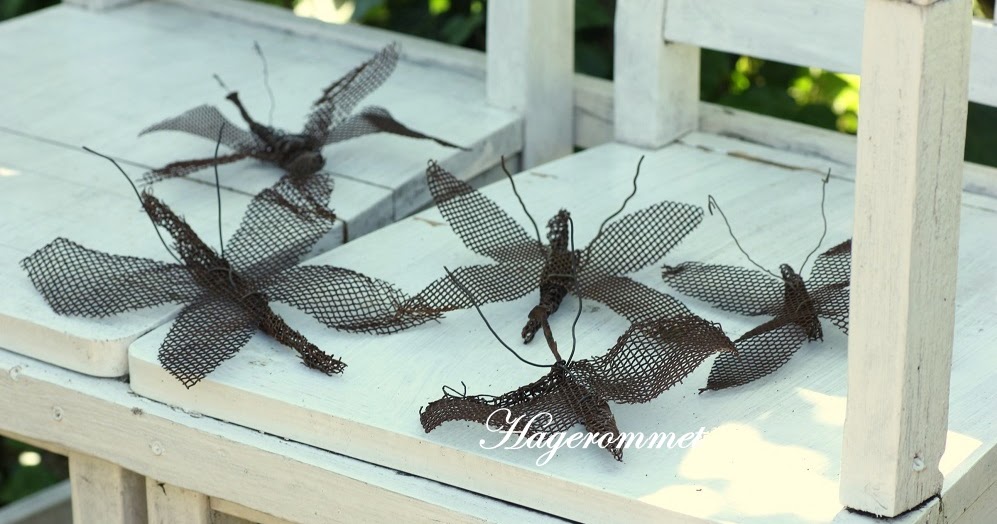 Hagerommet: Store insekter.....