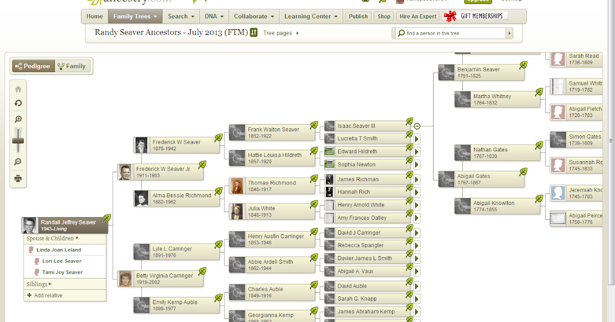 Genea-Musings: Ancestry.com Member Tree Changes