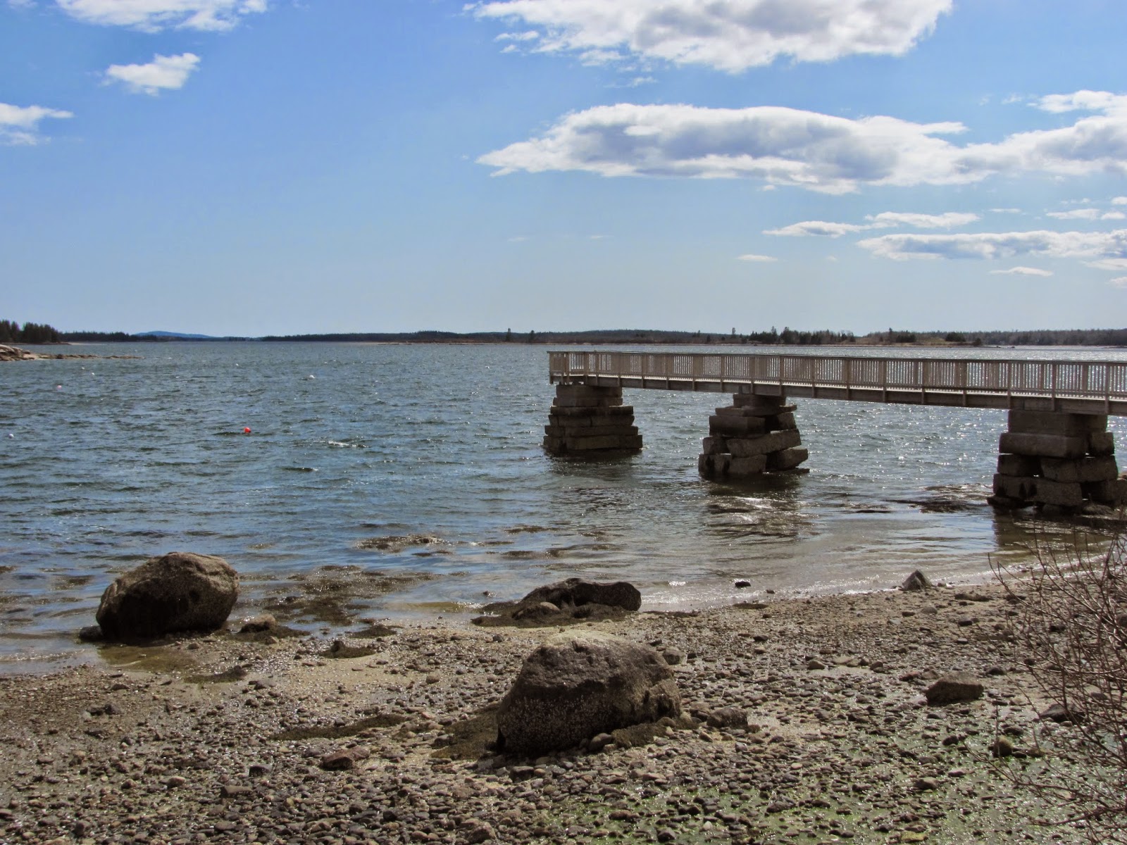 CAPTAIN'S BLOG: A Season in Brooklin, Maine