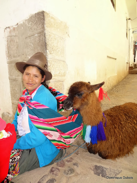 Détours de France. : Lamas au Pérou