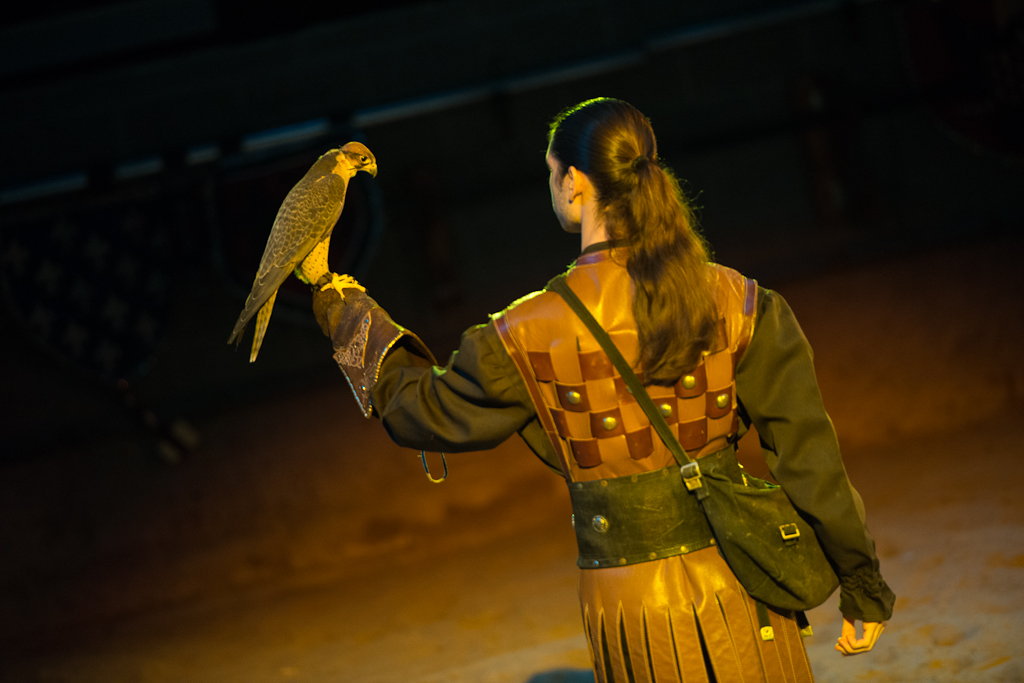 Want to be transported to a different realm where Knights reign? Check ...