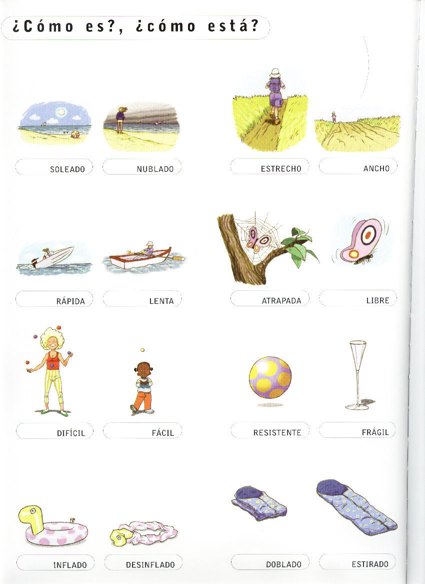 El escondite: INGLÉS