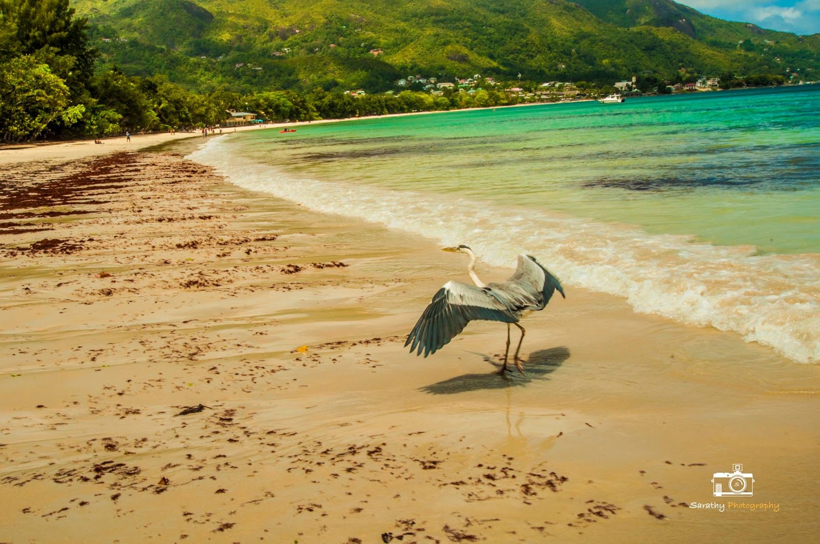 Seychelles - The most beautiful Archipelago on Earth