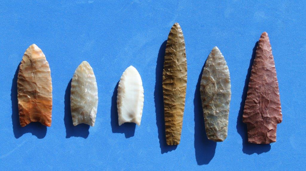 SHADOWS on the TRAIL Pentalogy - Let the Adventures Begin!: Who Dun It ...