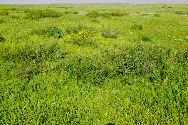 Journeys With Judy: Badlands National Park South Dakota