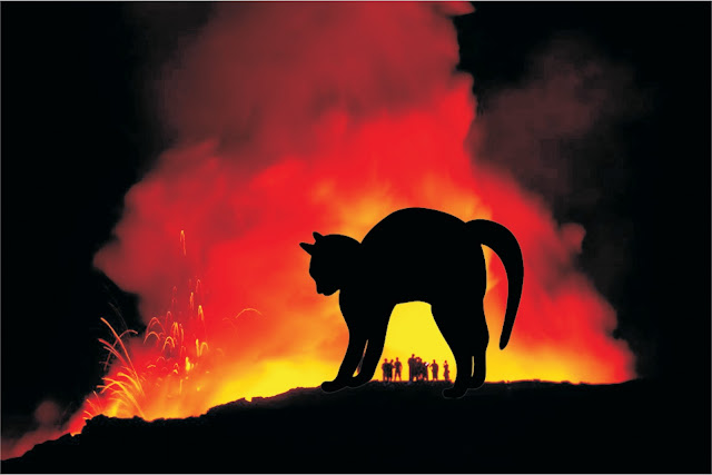 The Lavender Kitties: Lava Cats