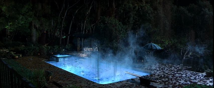 Top 44 Things I Love About Magnolia (that no one talks about) | And So ...