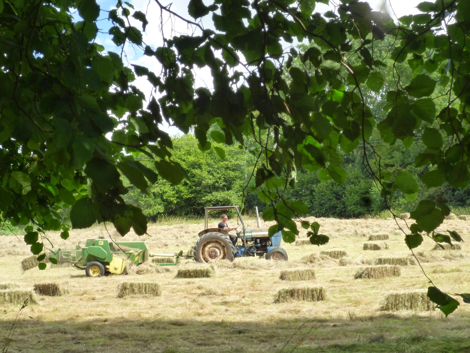 Little Mill Farm